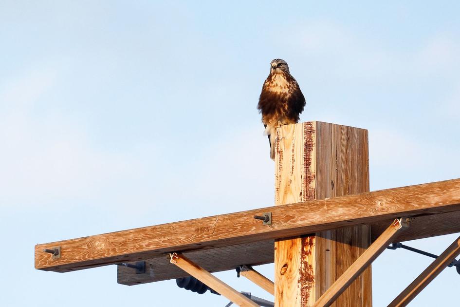 Keeping a lookout | People | codyenterprise.com