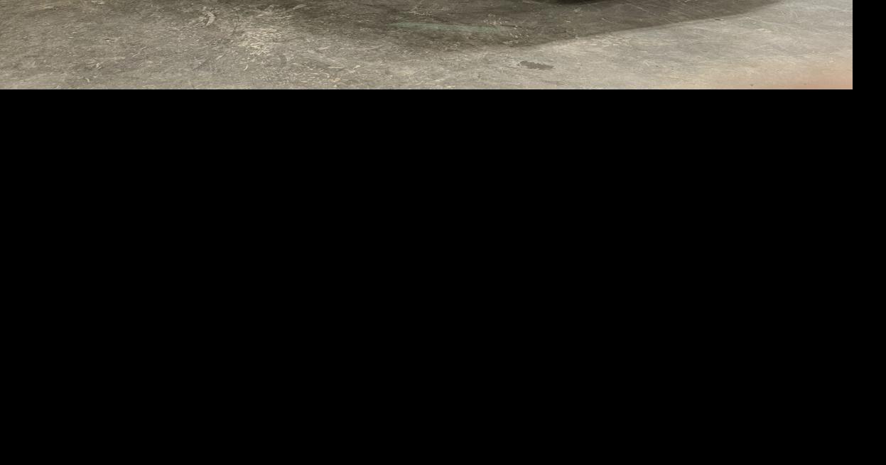 ‘It’s a warm Fire Chicken’: A man and his Firebird | Local News ...