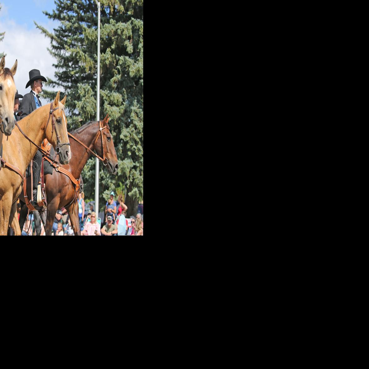 Andrew Sean Kinkade | Obituaries | codyenterprise.com