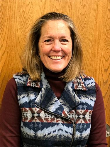 Schmidt wants to be a voice for health care community | Local News ...