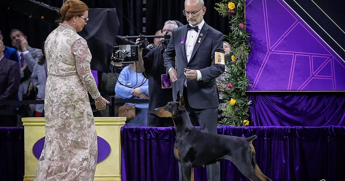 Forsyth-Green ranks is doggone good | People | codyenterprise.com