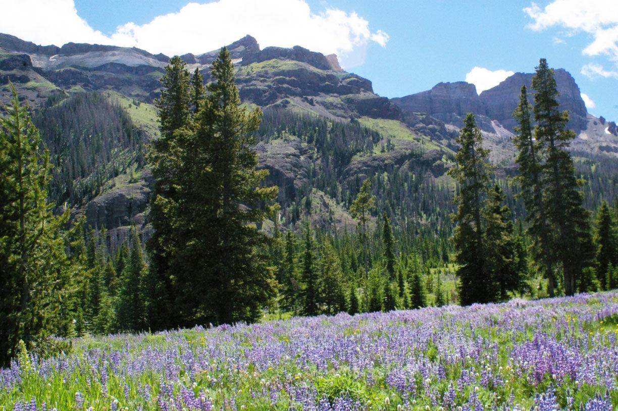 Carter Mountain slideshow is Saturday at library | People ...