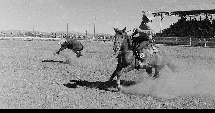 Museum exhibit celebrates 100 years of Stampede | People ...