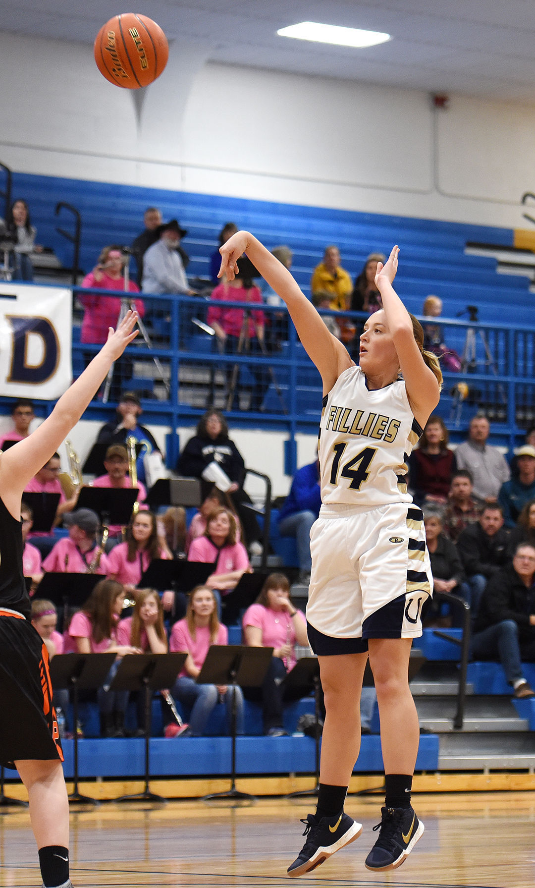 Photos: Cody girls basketball 27, Powell 39 | Sports | codyenterprise.com