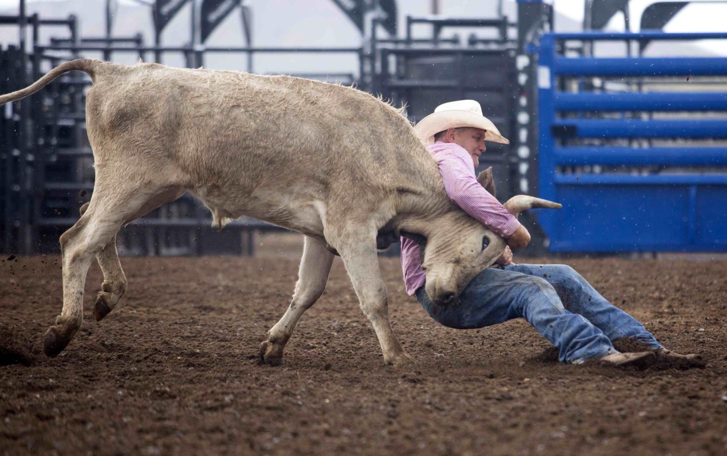 Steer wrestling series debuts; bull doggers kick off rodeos | Sports ...