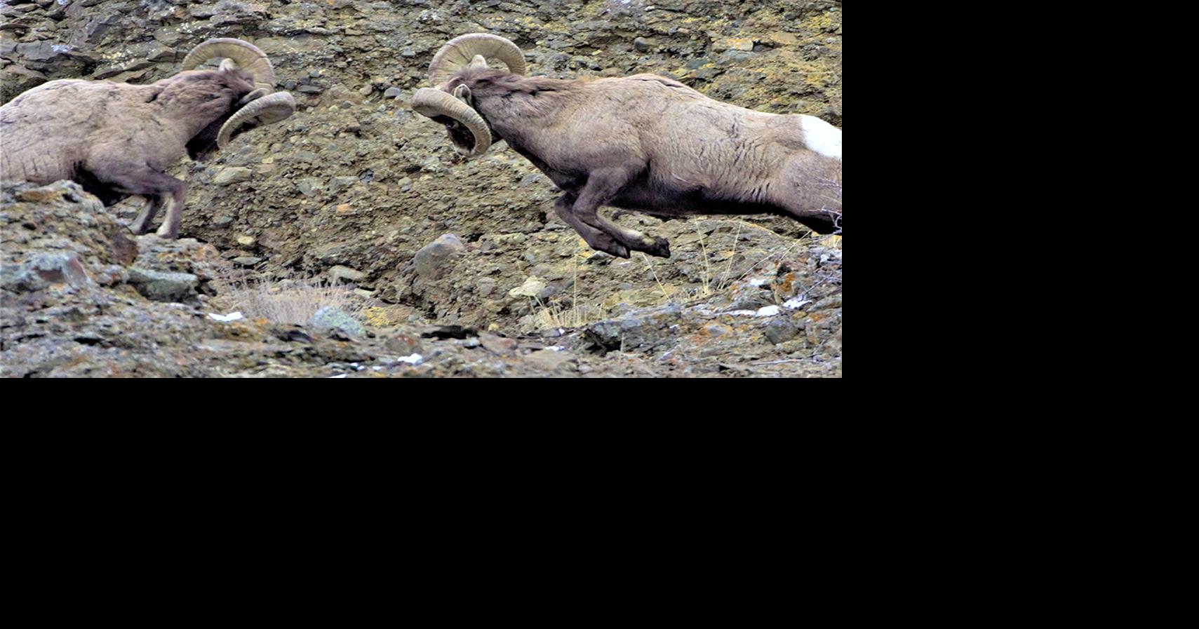 High-speed collision | People | codyenterprise.com