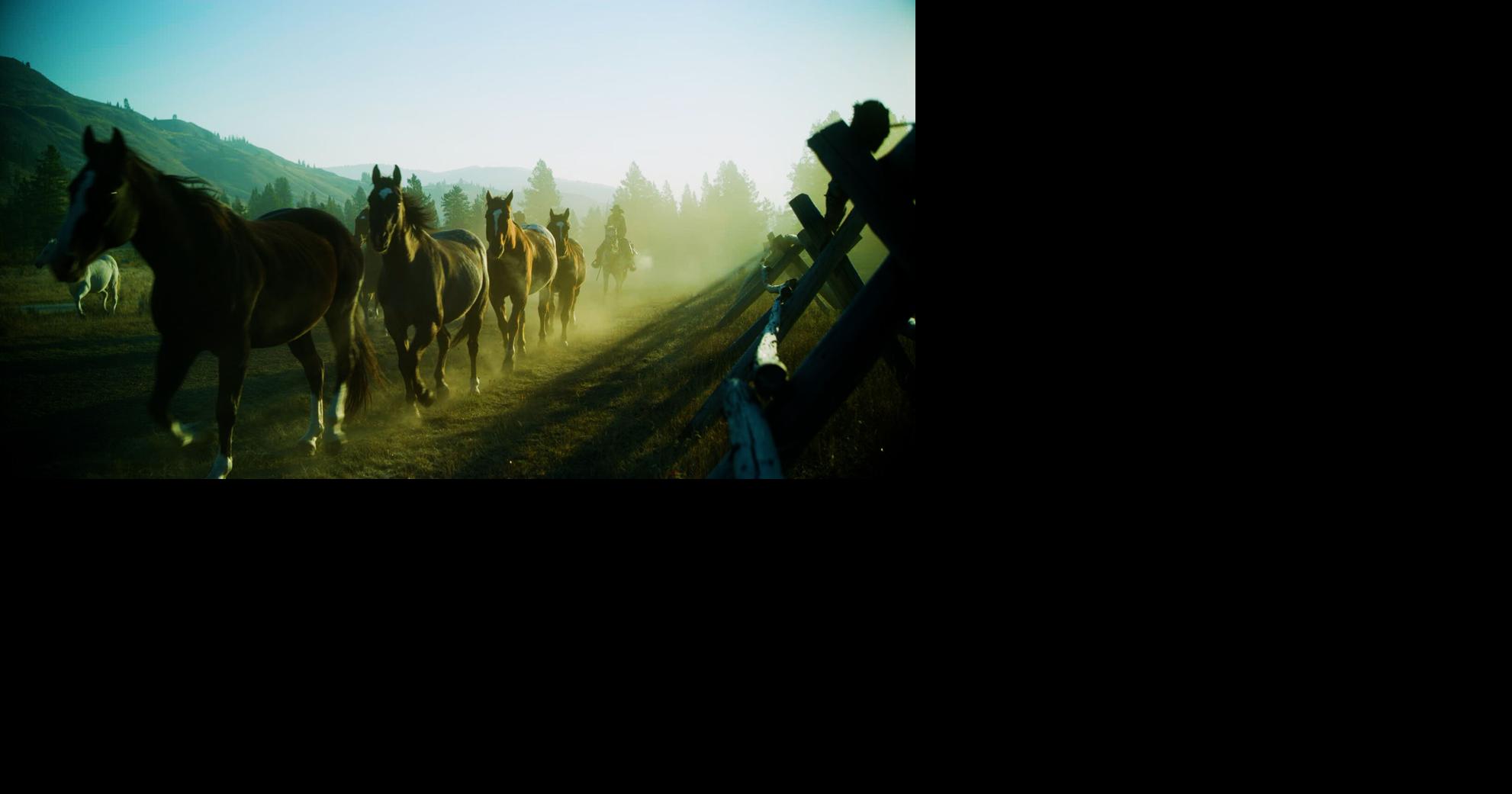 PBS dude ranching doc premieres next week | People | codyenterprise.com