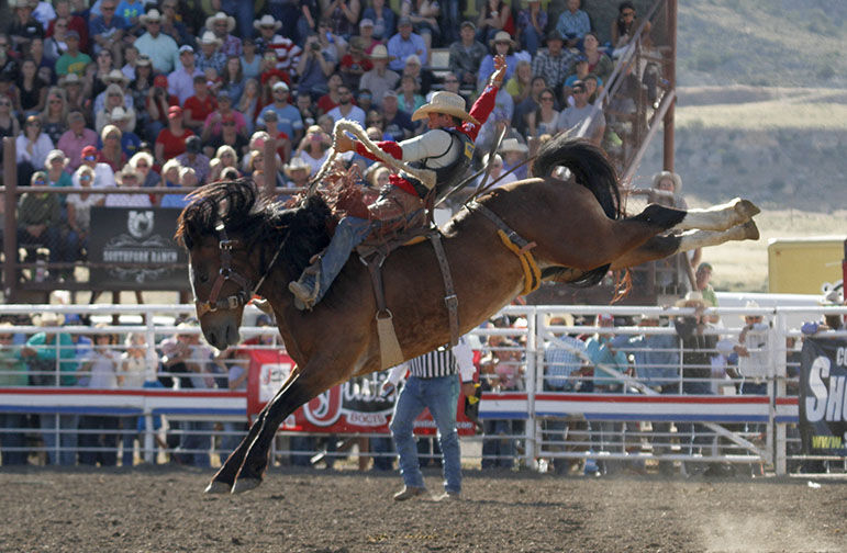 Cody Stampede Day 4: Bareback, saddle bronc decided on final night ...
