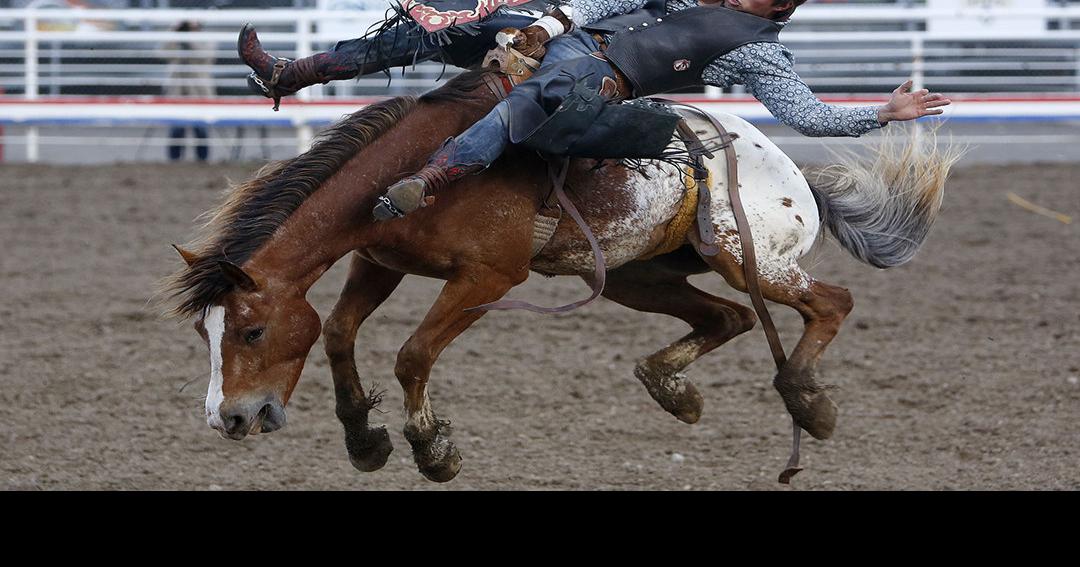 Photos: Cody Nite Rodeo opening weekend | | codyenterprise.com