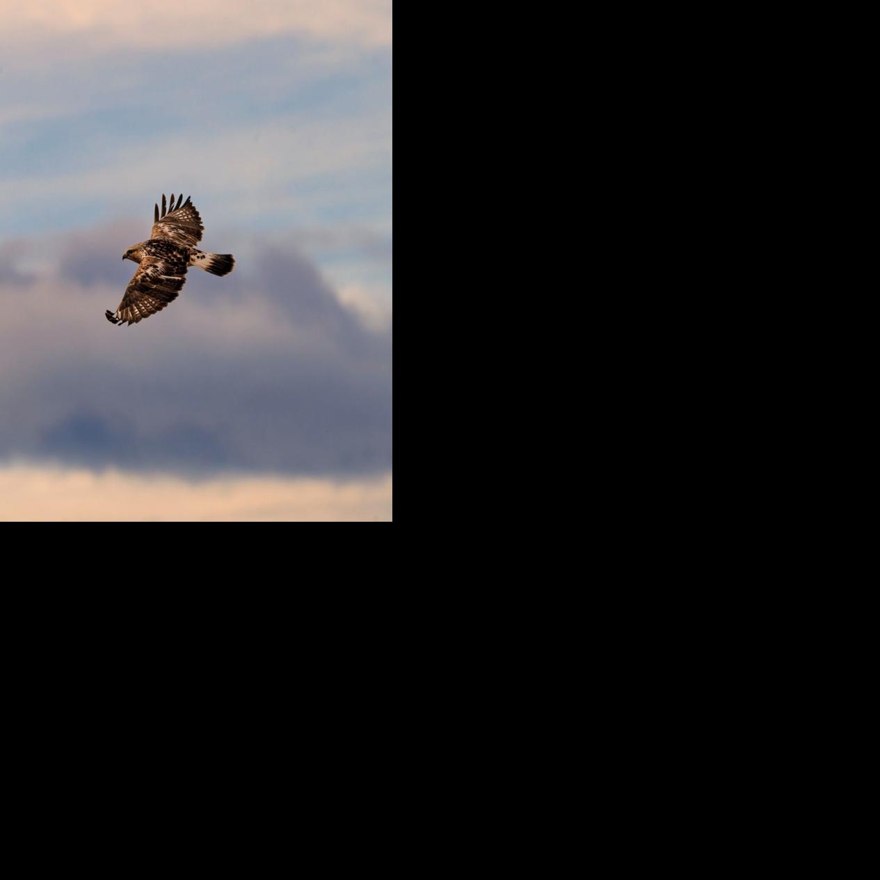 Police/Sheriff News | Almanac | codyenterprise.com