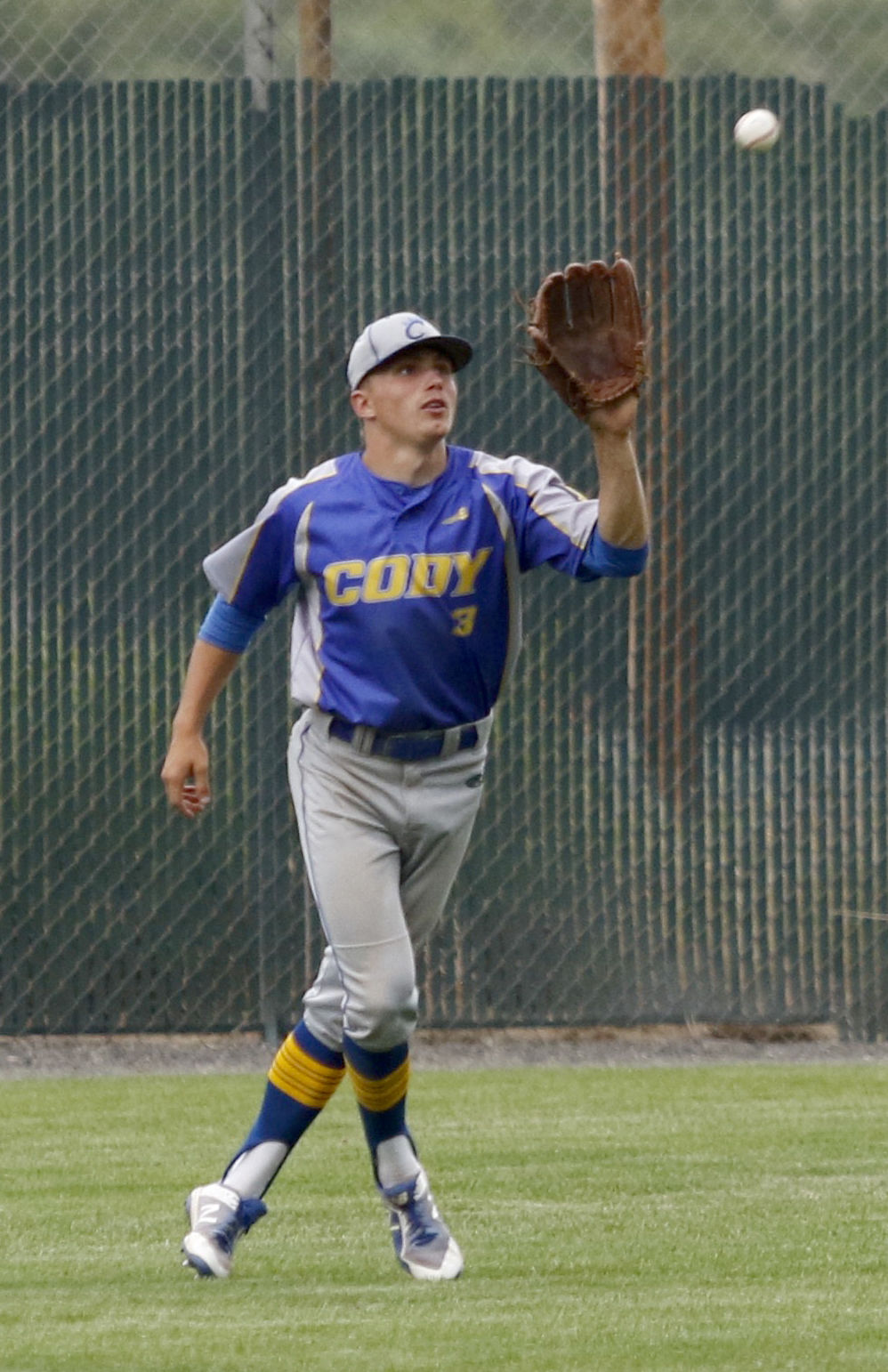 Big bats propel Cubs to wins over Billings, Sheridan | Sports ...