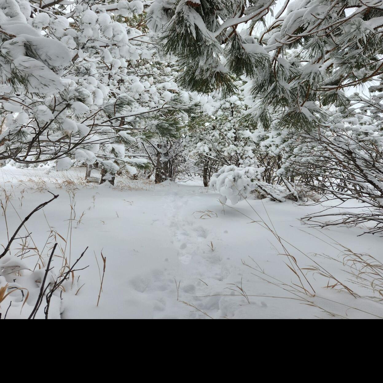 Andrew Sean Kinkade | Obituaries | codyenterprise.com