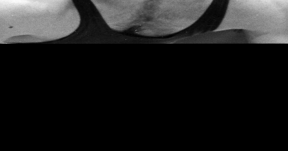 Champion wrestler honored - Martin recognized on 50th anniversary of ...