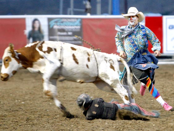Rodeo newbie proves to be quick study | Sports | codyenterprise.com
