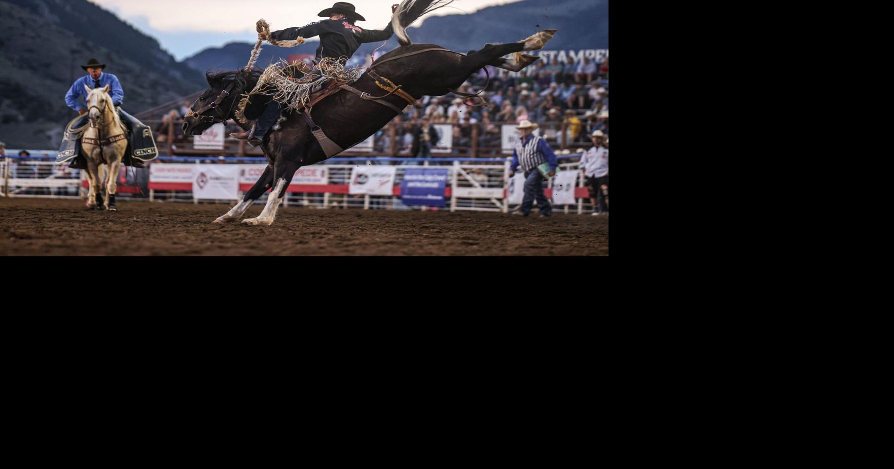 Xtreme Bulls start Stampede week | Sports | codyenterprise.com