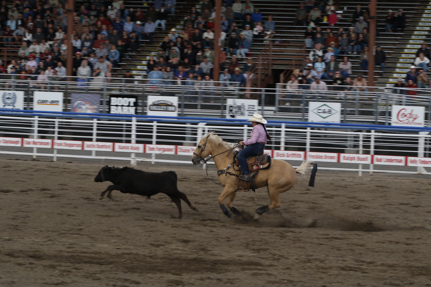 Cheyenne Blackmore | | codyenterprise.com
