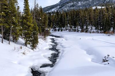 Snow Flow | People | codyenterprise.com