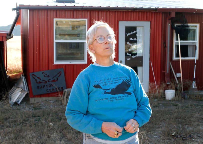 Injured eagle takes flight | People | codyenterprise.com