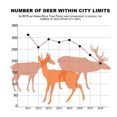 Deer culling results in fewer incidents | Local News | codyenterprise.com