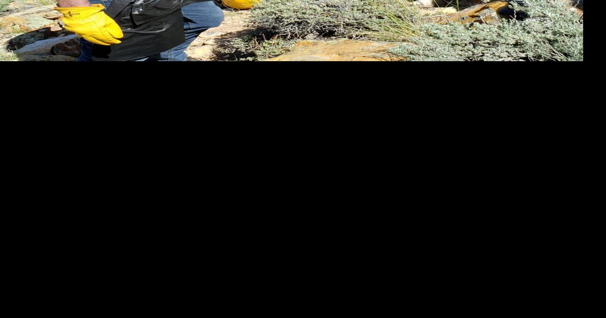 Outlaw attracts large turnout | People | codyenterprise.com