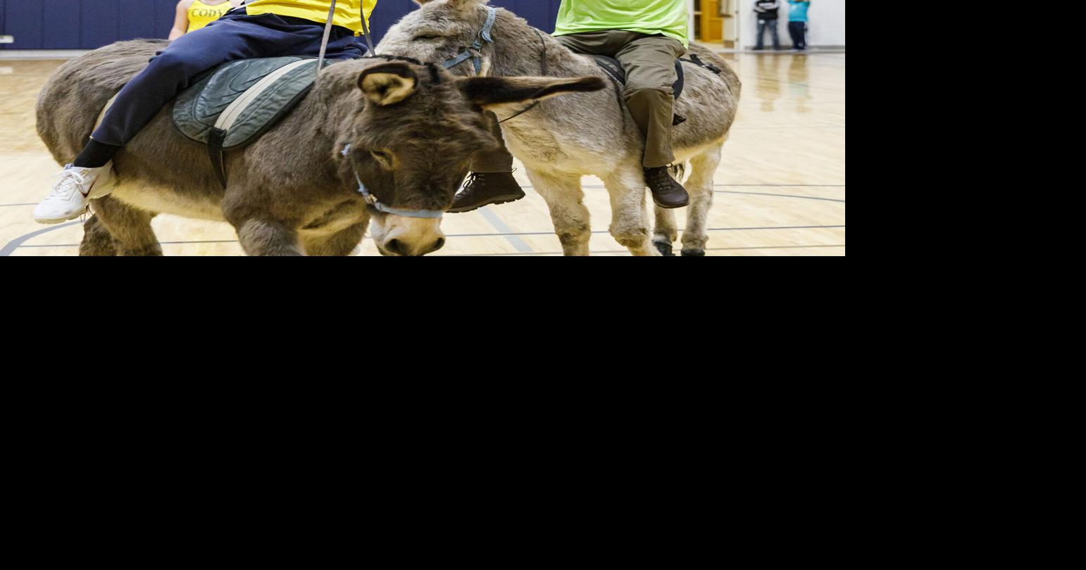 Shooting from the saddle - Donkey Basketball event raises funds for FFA ...