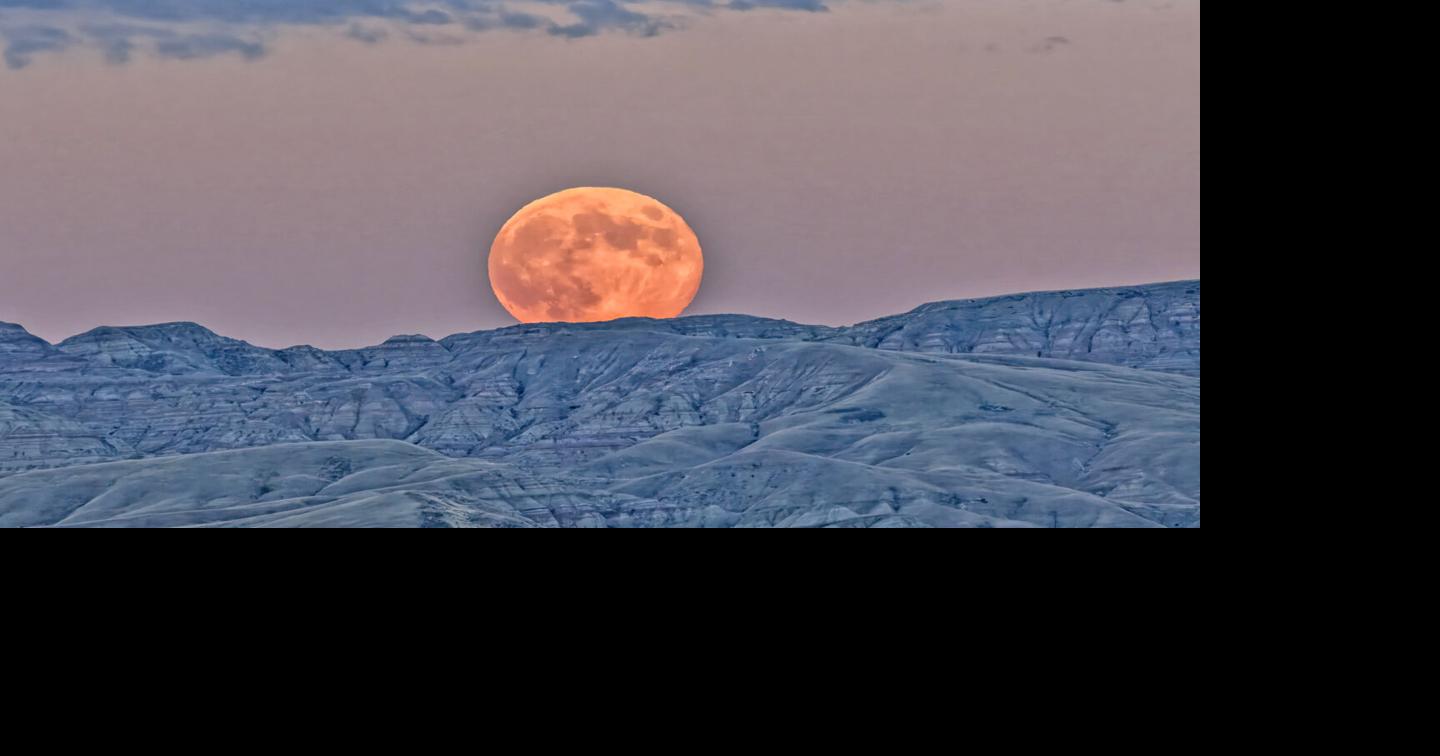 November moon | | codyenterprise.com