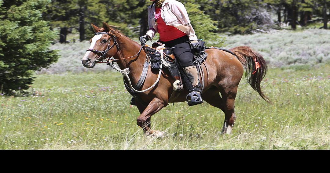 Collins competes in grueling Big Horn 100 horseback ride | People ...