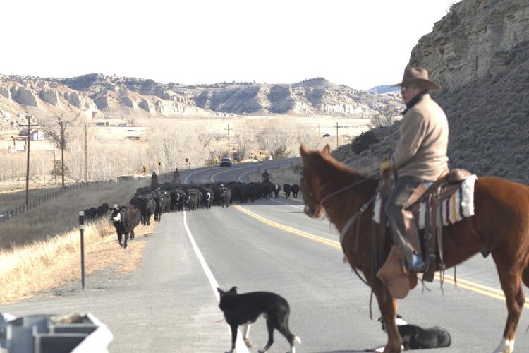 Severe drought stresses local ranches, agriculture | Local News ...
