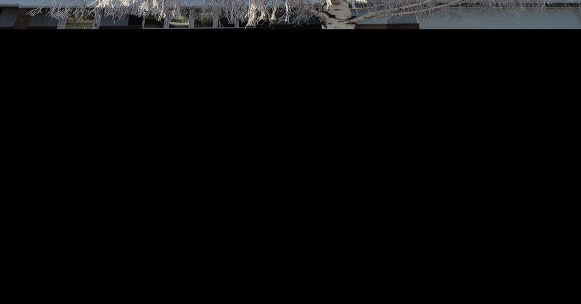 Icicle tree | Almanac | codyenterprise.com