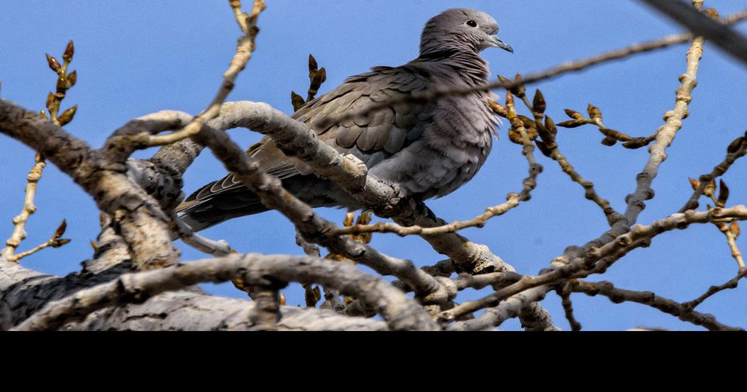 Nice perch | People | codyenterprise.com