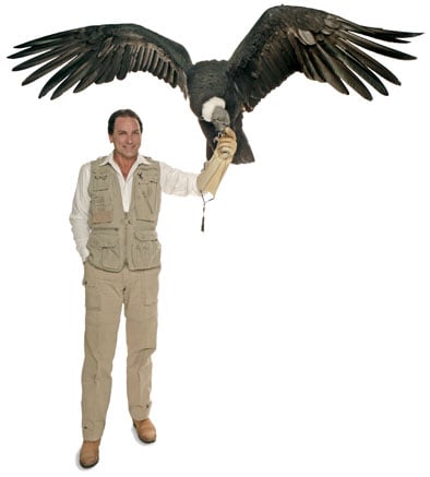 Feathered friends take center stage in bird show | People ...