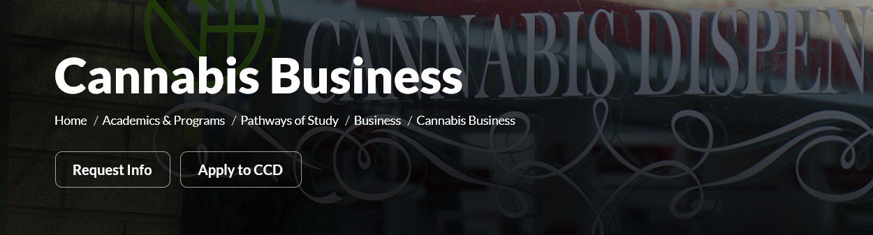 CCD Cannabis Education Leadership Change Raises Questions, No Answers ...