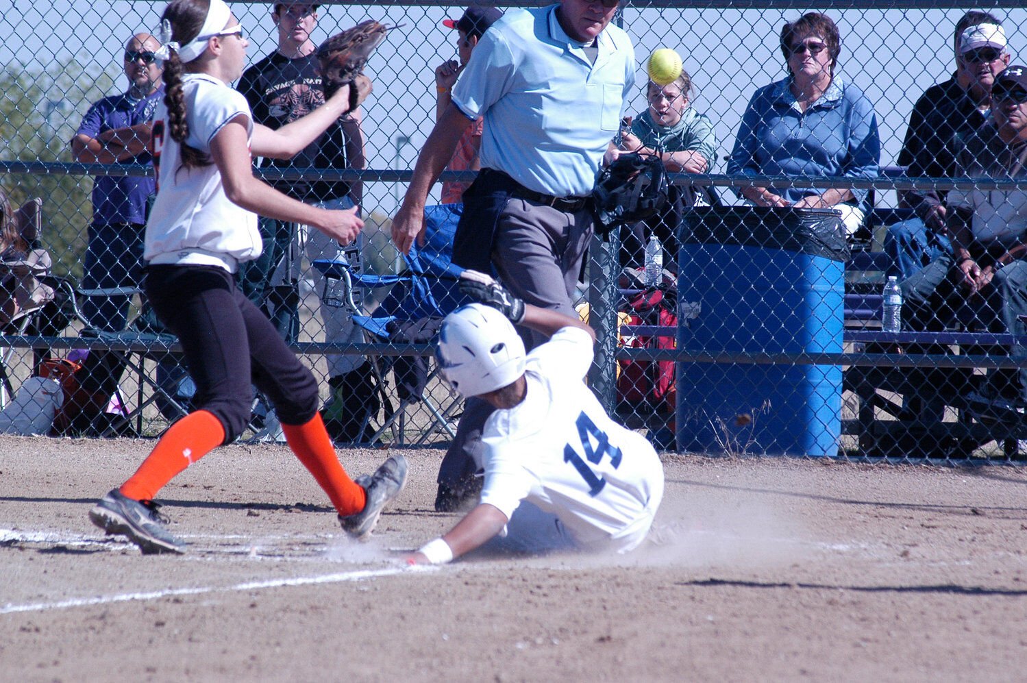Lamar stops Bluedevils’ postseason softball run | Archives ...
