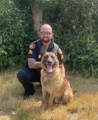Morrison police sergeant charged with domestic violence | Archives ...
