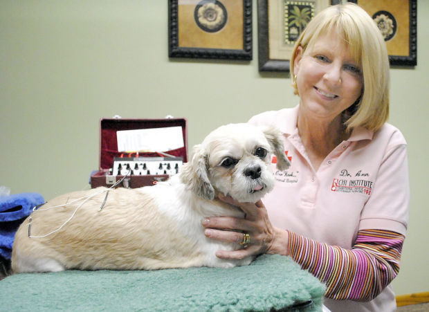 Kramer provides healing touch for pets