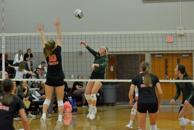 Area volleyball: Five teams compete for a state berth