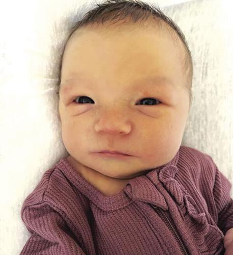 Eva Laine Faller