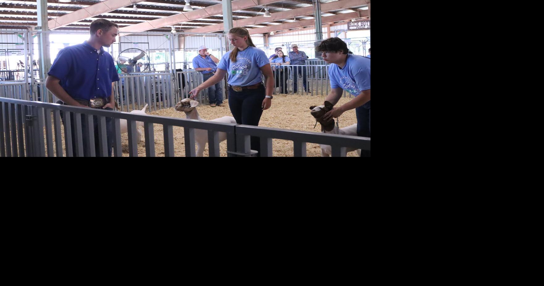 Goat showmanship gallery - Platte County Fair