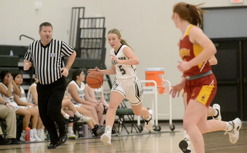 Warriors basketball drop games to Madison and DC West