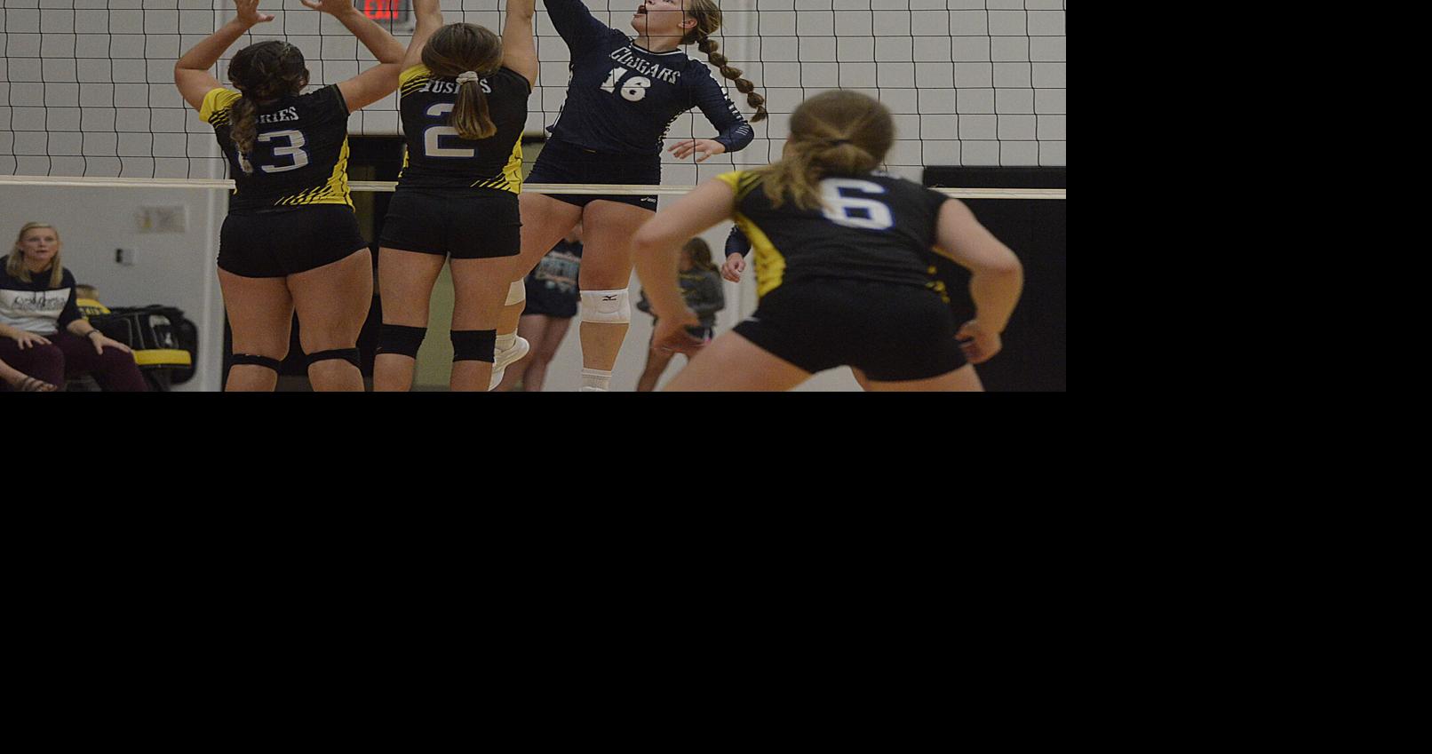 Area volleyball: Five teams compete for a state berth