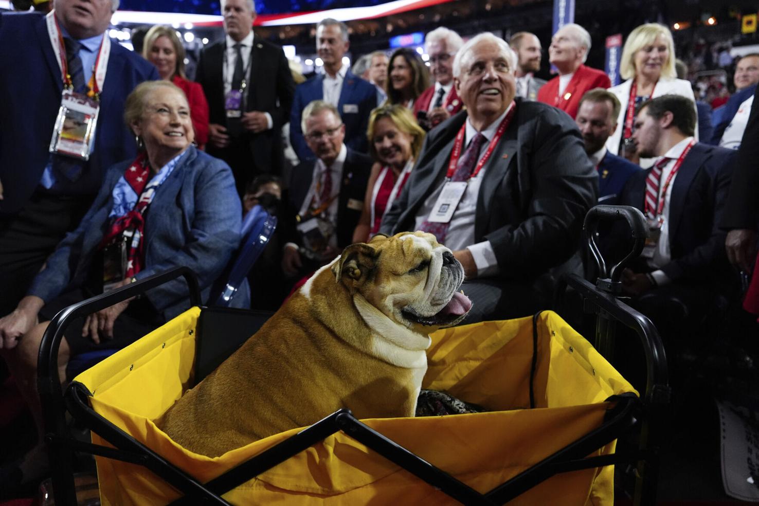 Babydog steals the spotlight at the RNC