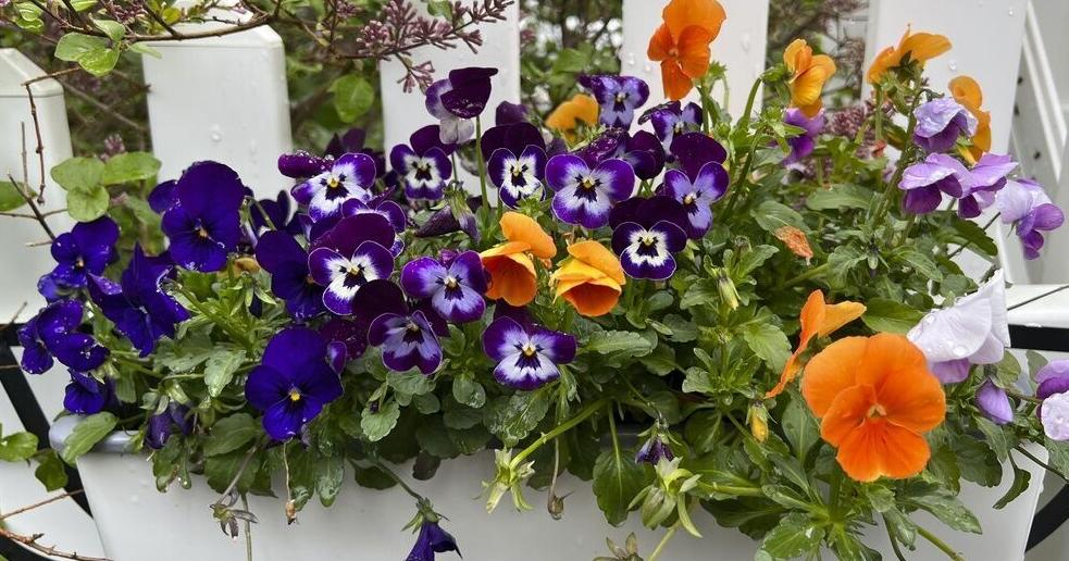 Spring gardening event planned at Central Community College