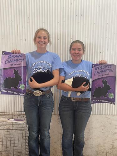 Platte County Fair Rabbit Show
