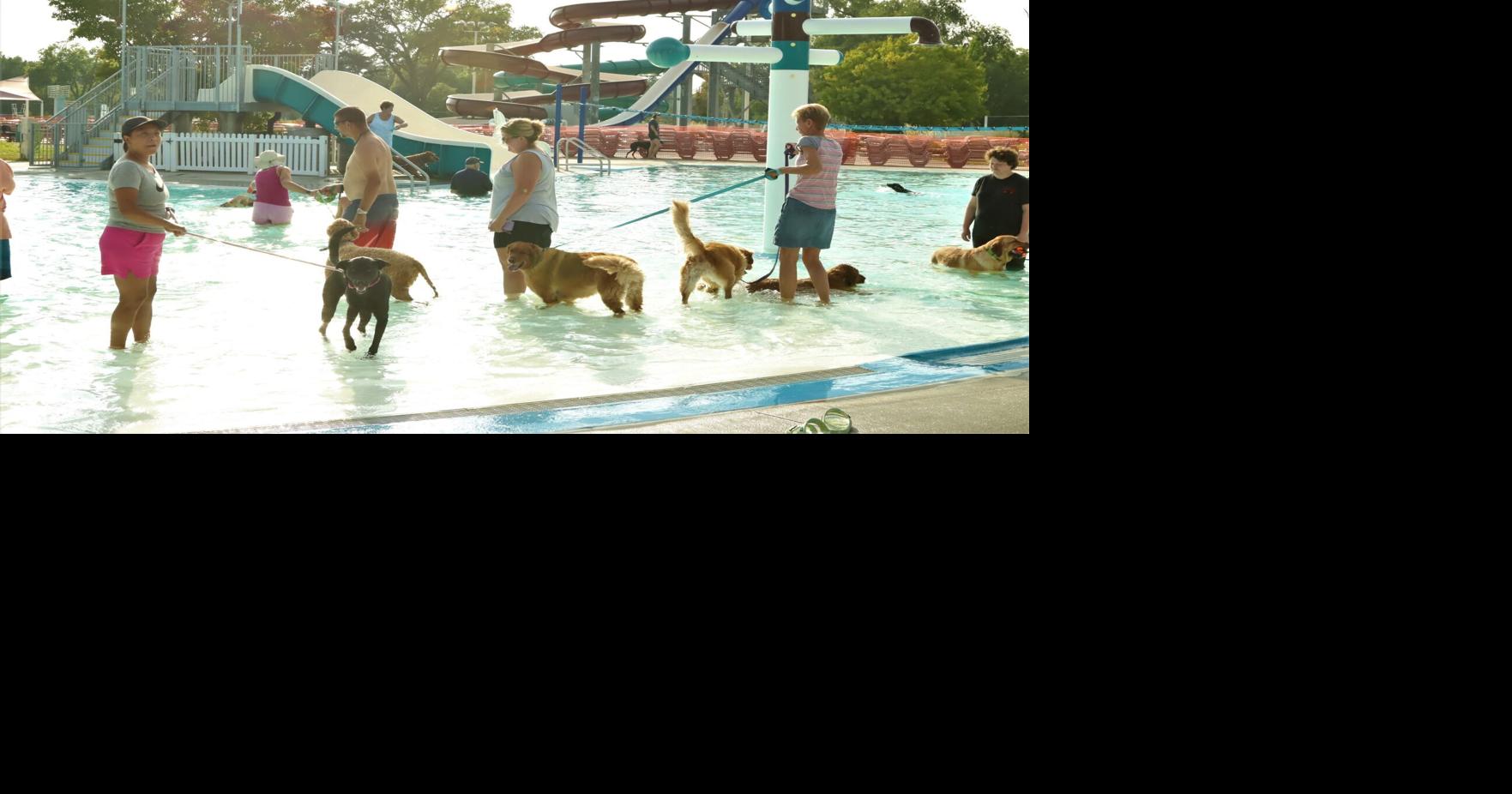 Puppy Plunge returns Aug. 25 for pups at the pool