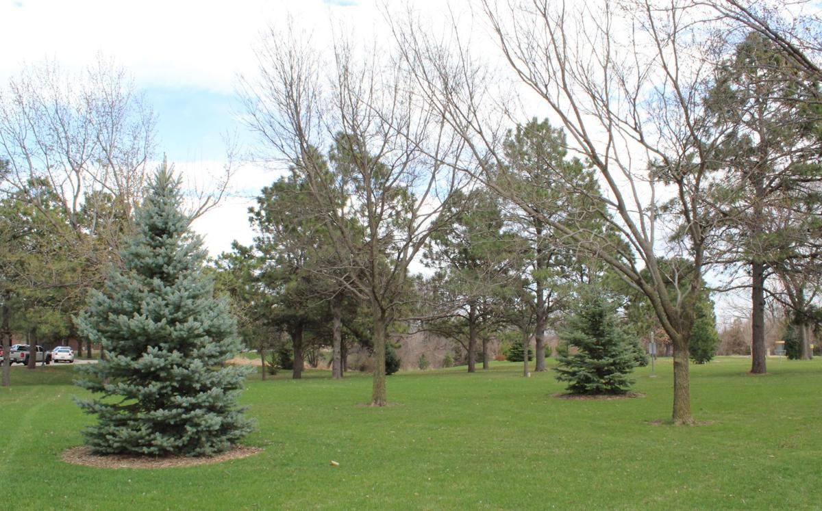 Mayor recognizes Arbor Day with proclamation