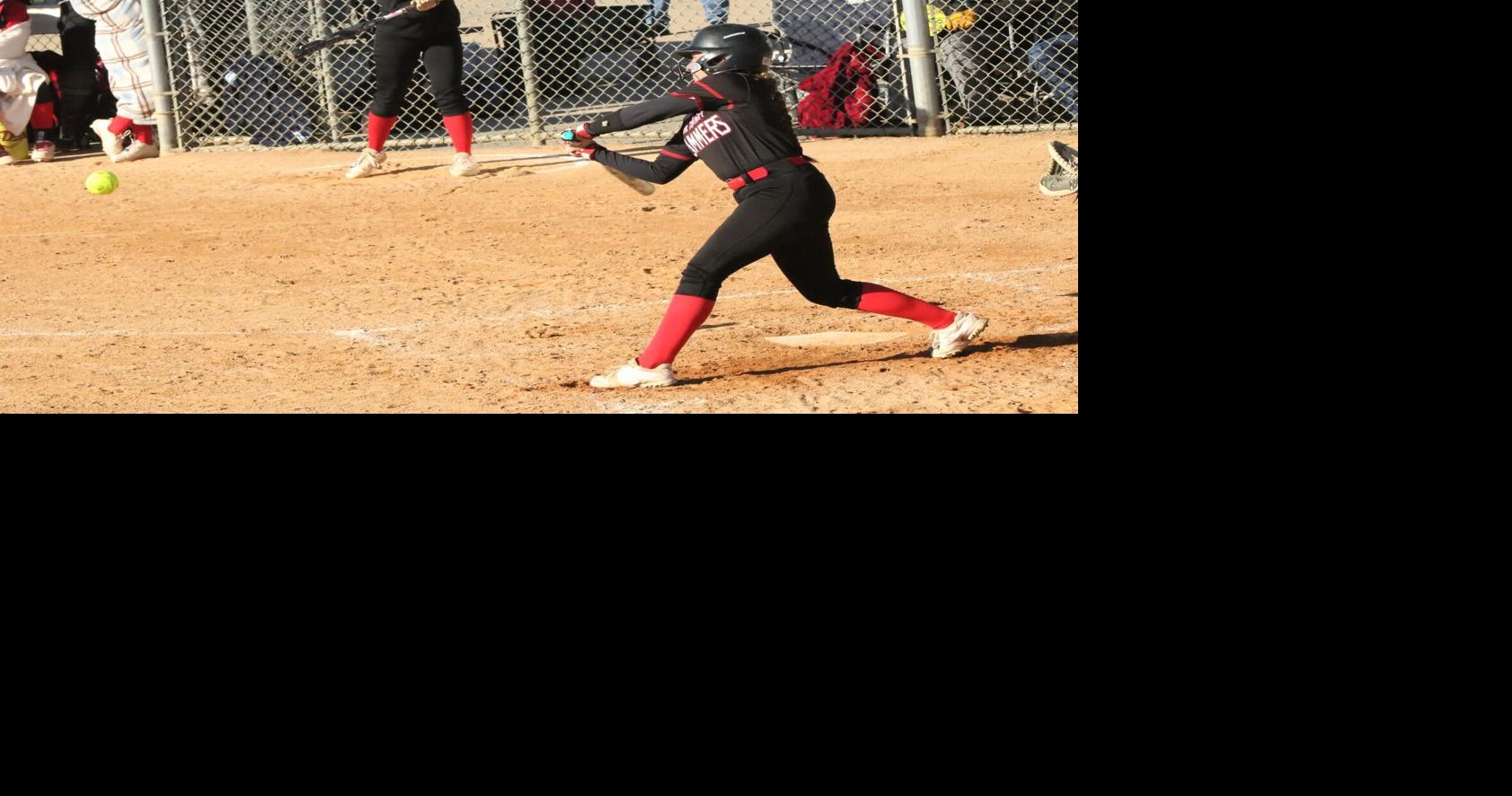Slammers fall to NEN at state softball, ending historic season