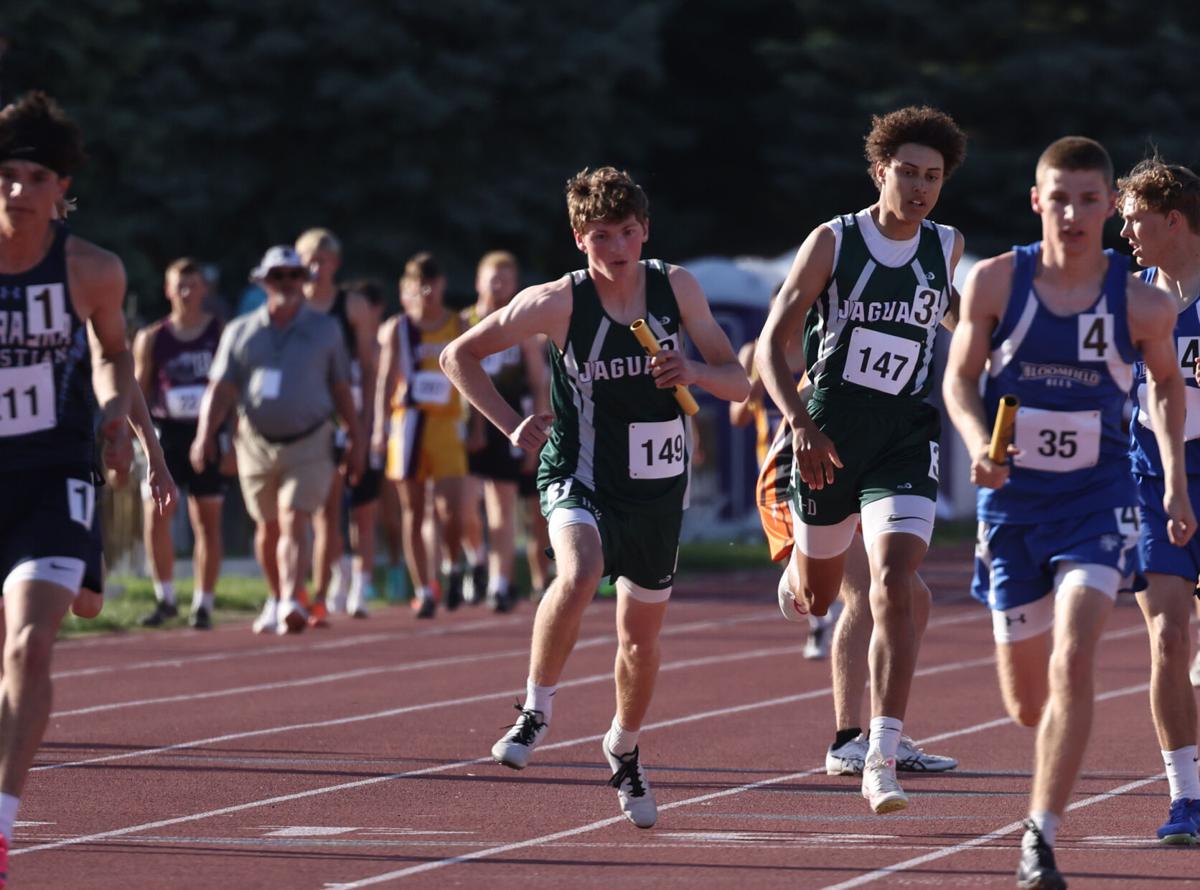 Howells-Dodge closes track season with four state medals