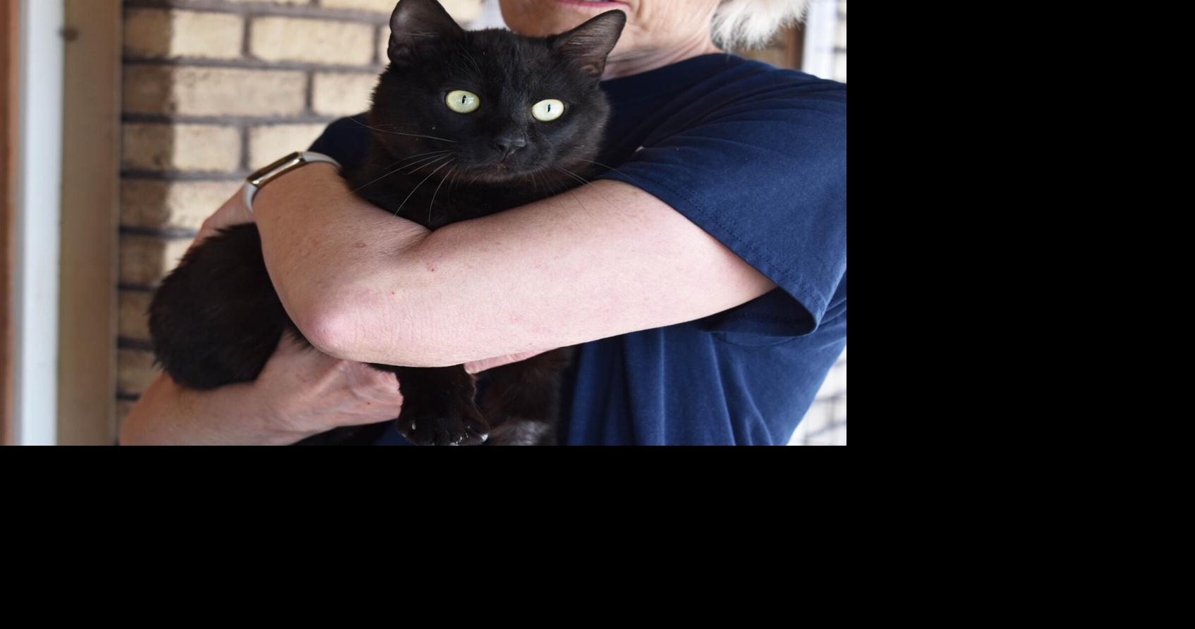 Pet of the Week - Dover