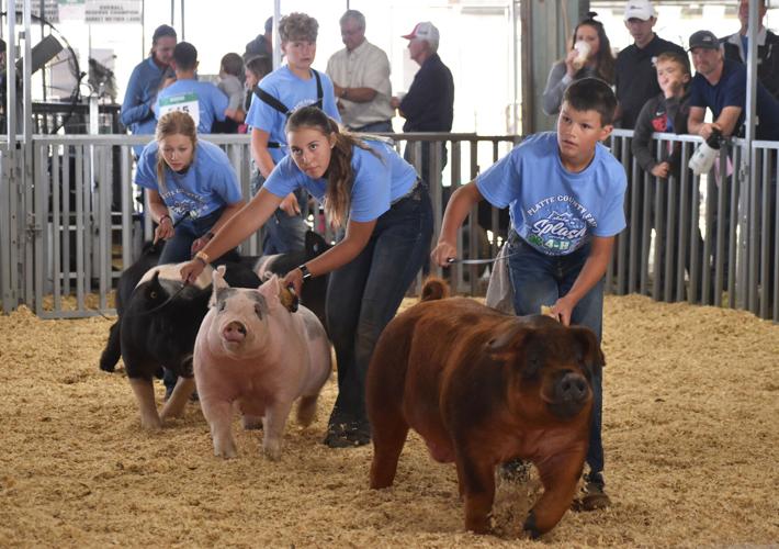4-H Swine Show