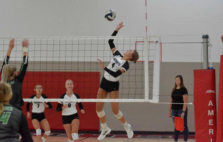 Area volleyball: Five teams compete for a state berth